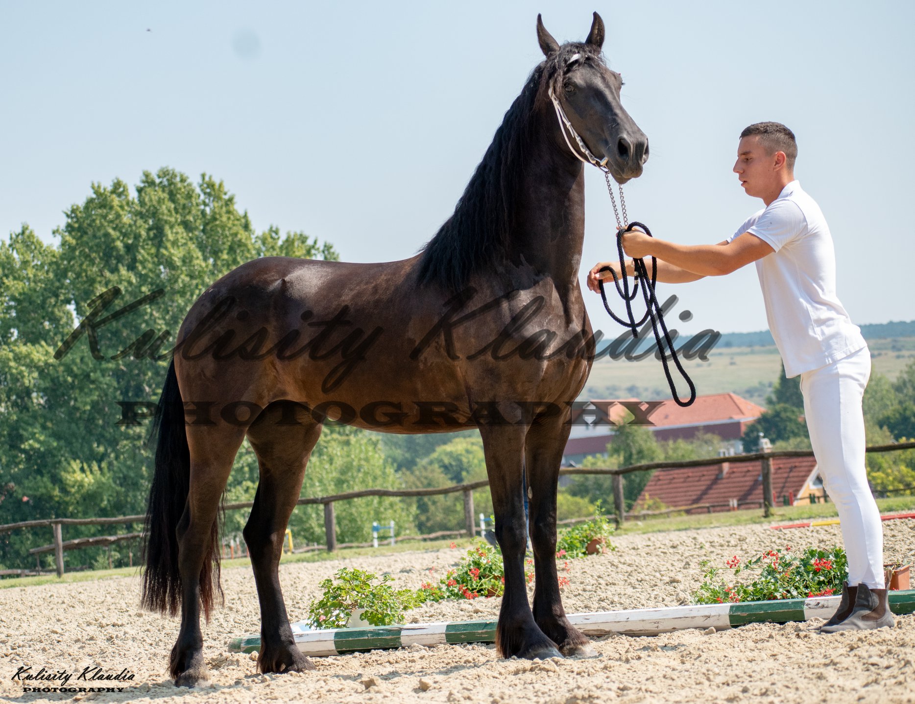 Fríz Lótenyésztők Magyarországi Egyesülete – Fríz szemle 2019